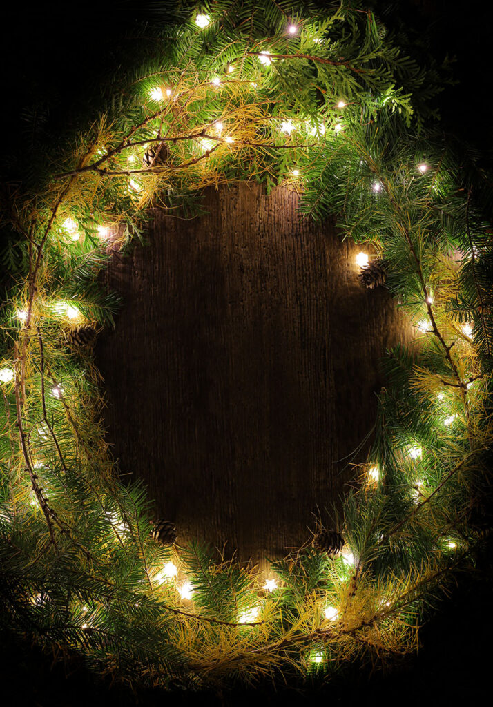 Vertical Pine and Lights Frame 1 - PhotoStudio44.com Imagery